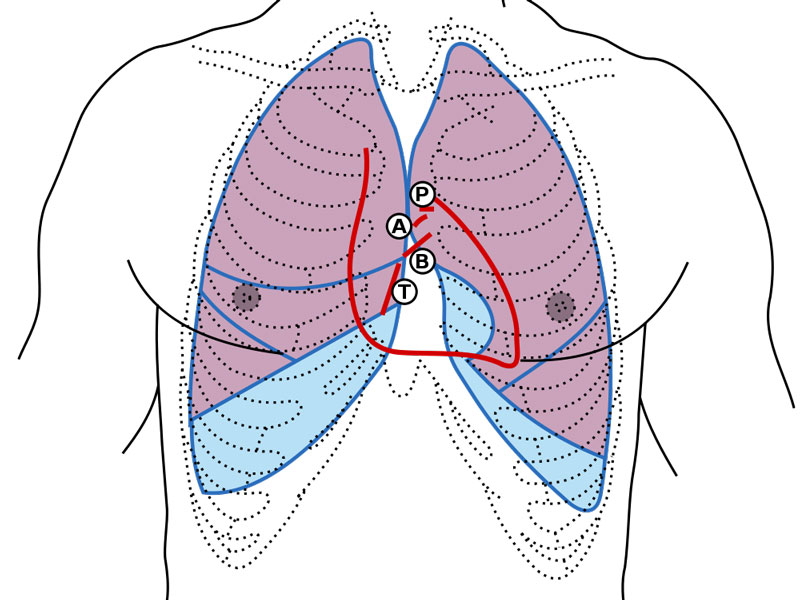 Cardiologia – La Buona Salute